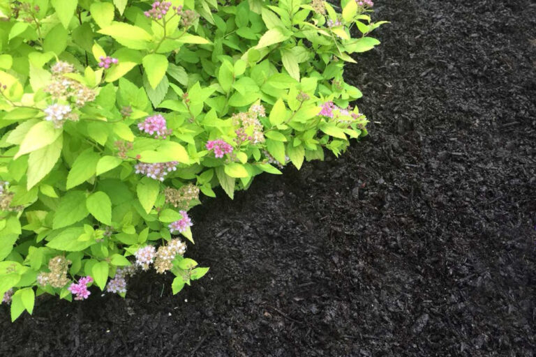 Sweet Peet Mulch - Van Wilgen's Garden Center